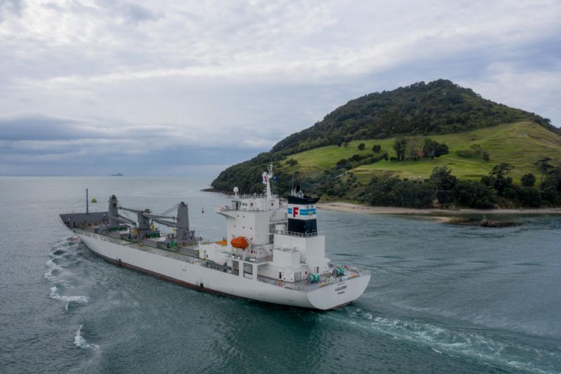 Mice Infestation Delays Europe's First Kiwi Shipment of the Year